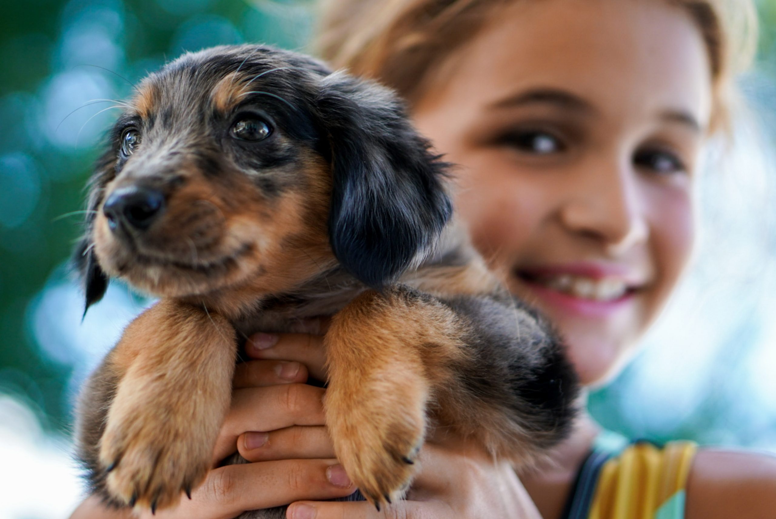 Choisir le bon chien, comment faire pour bien faire? - Vie de Parents
